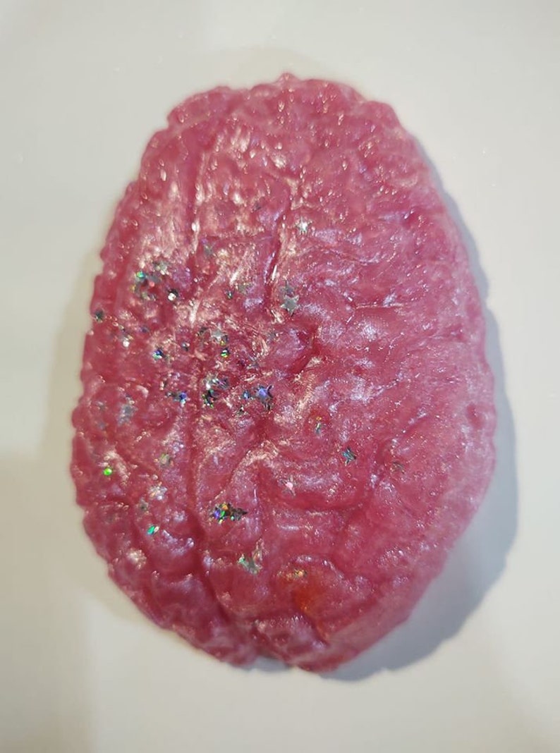 Human Brain Plastic Mold or silicone mold Resin Mold brain | Etsy