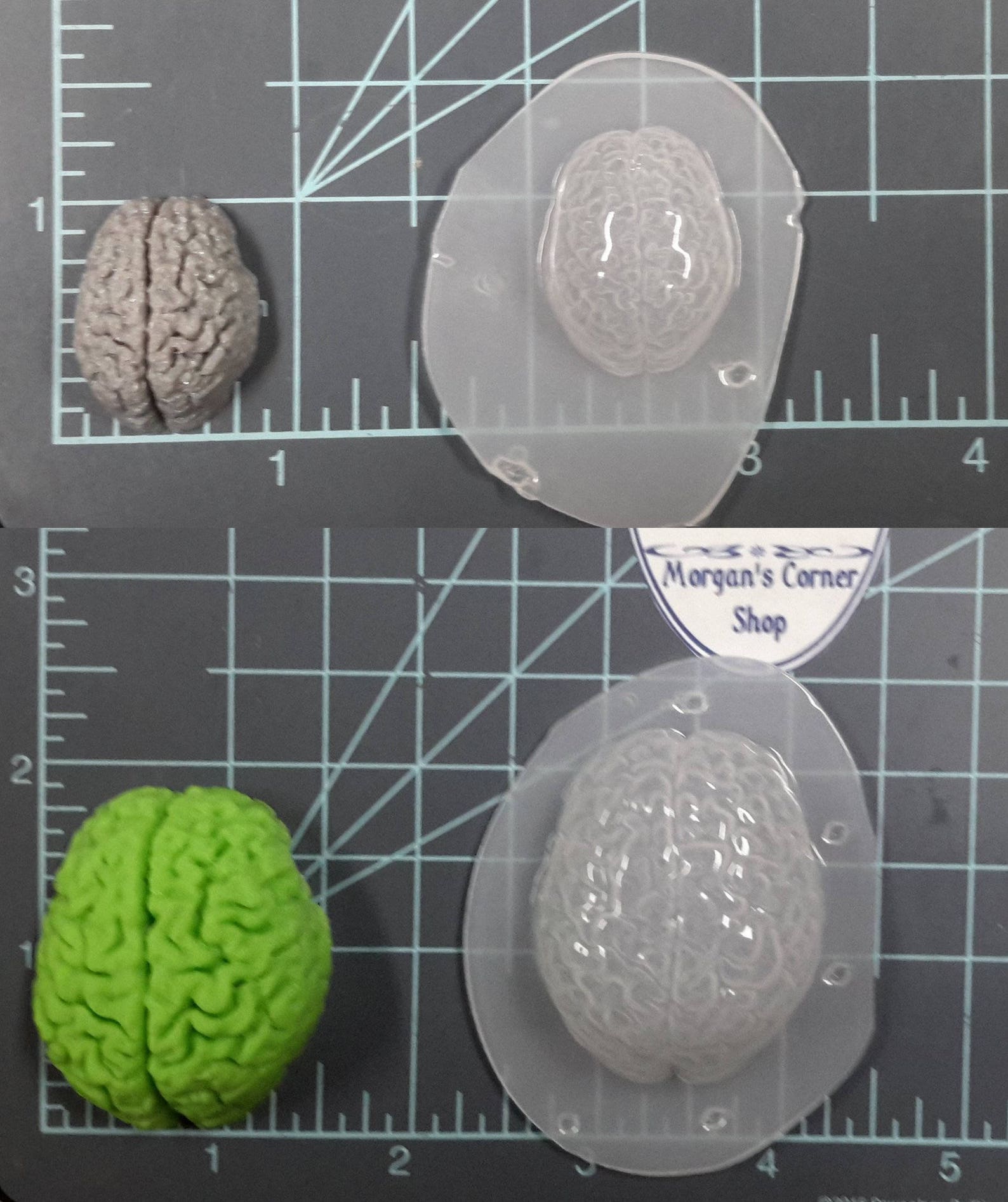 Human Brain Plastic Mold or Silicone Mold Resin Mold Brain - Etsy