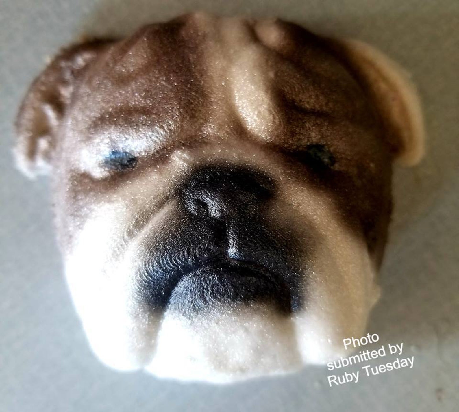 English Bulldog Plastic Mold, Dog Mold, Bath Bomb Mold, Soap Mold ...