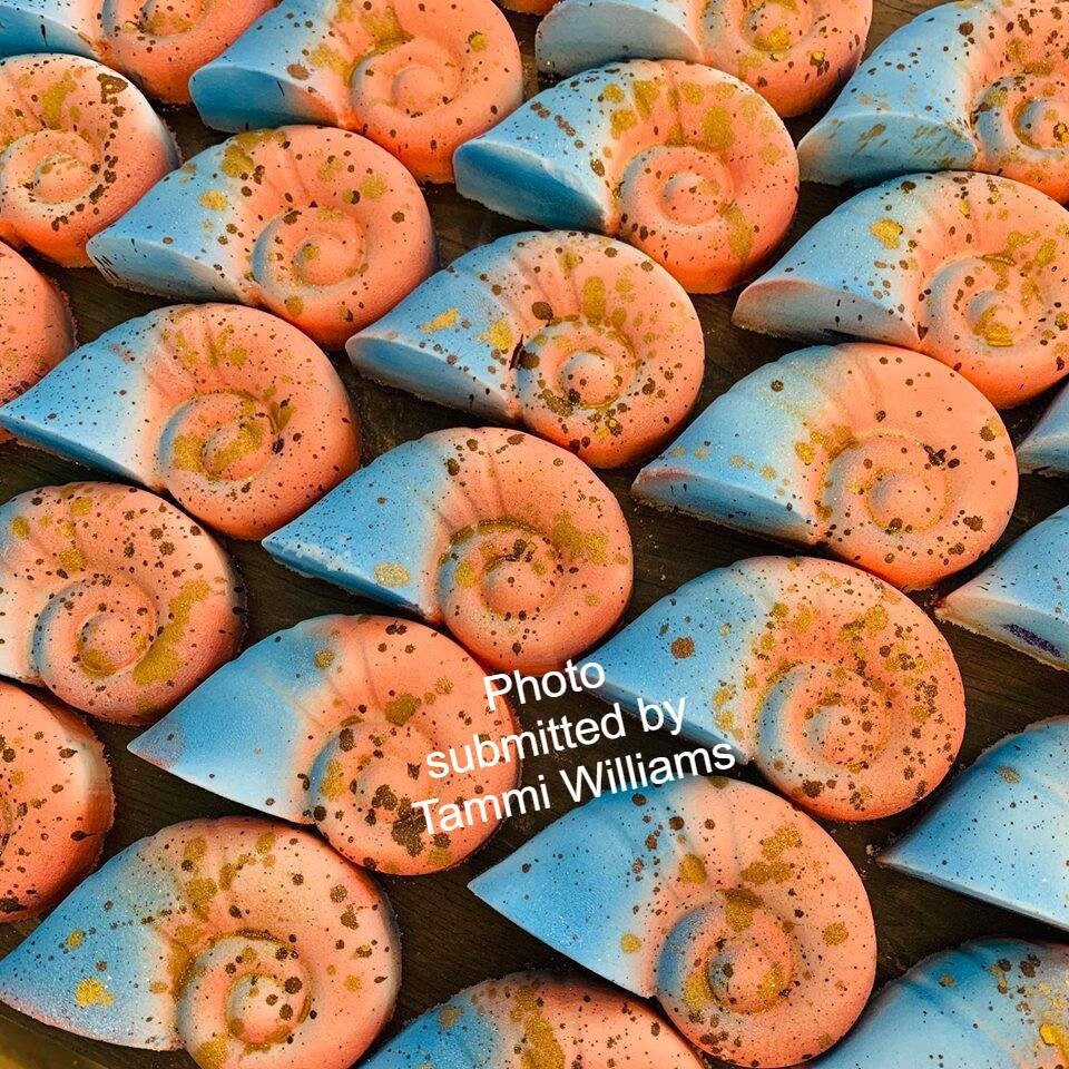 Spiral Shell Plastic Mold or Silicone Mold Bath Bomb Mold | Etsy