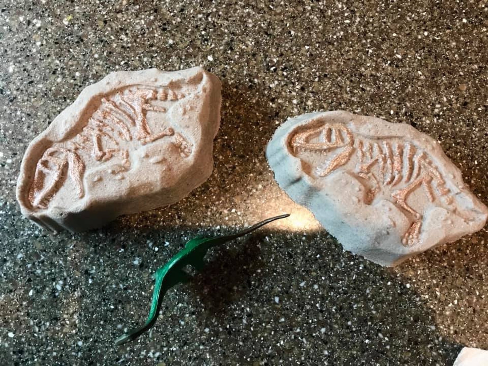 Dino Fossils Plastic Mold or Silicone Mold Bath Bomb Mold | Etsy