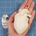 Human Heart Plastic Mold or Silicone Mold, Resin Mold, Heart Mold, Clay ...