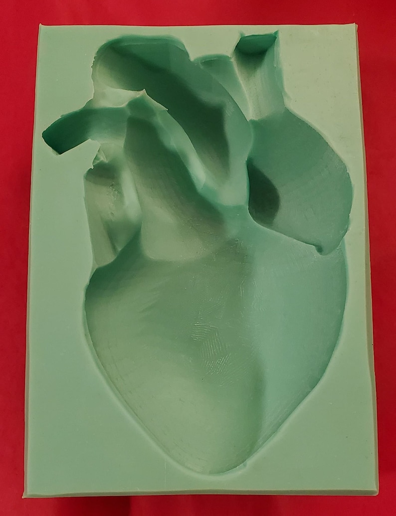 Human Heart Plastic Mold or Silicone Mold Resin Mold Heart - Etsy
