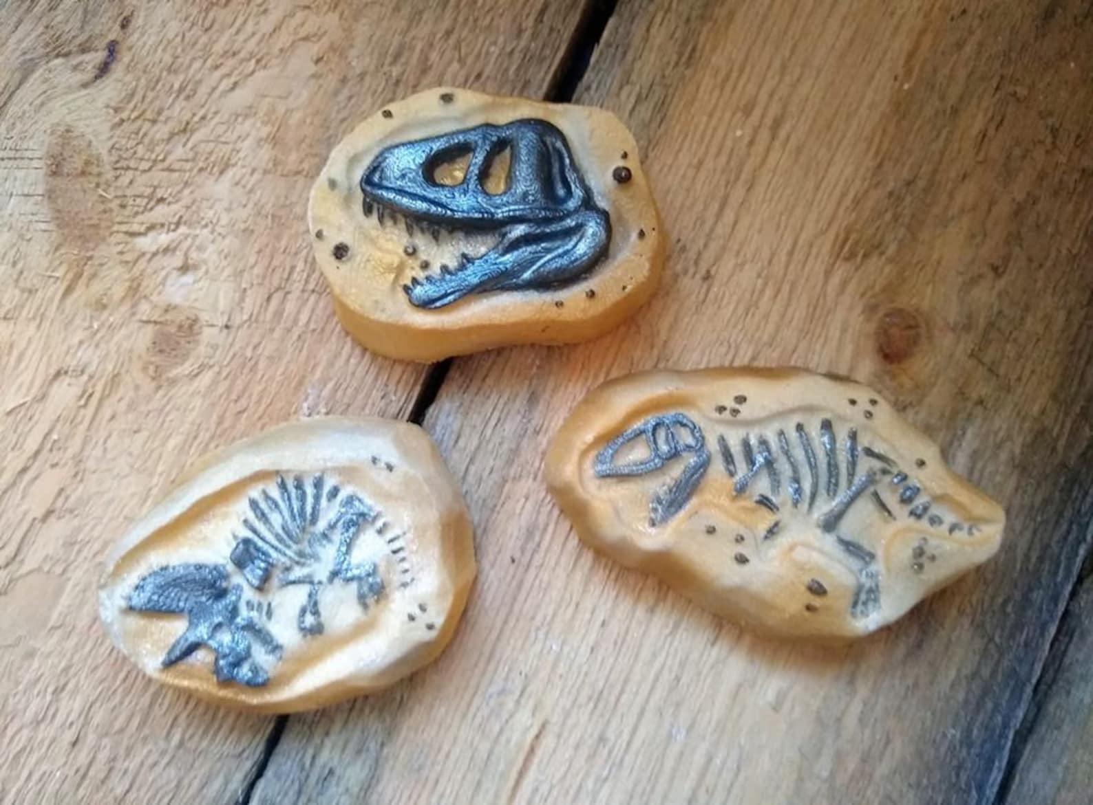 Dino Fossils Plastic Mold or Silicone Mold, Bath Bomb Mold, Soap Mold ...