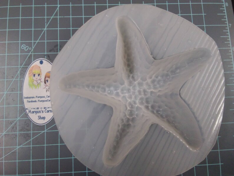 Starfish Plastic Mold or Silicone Mold, Star Fish Mold, Bath Bomb Mold ...
