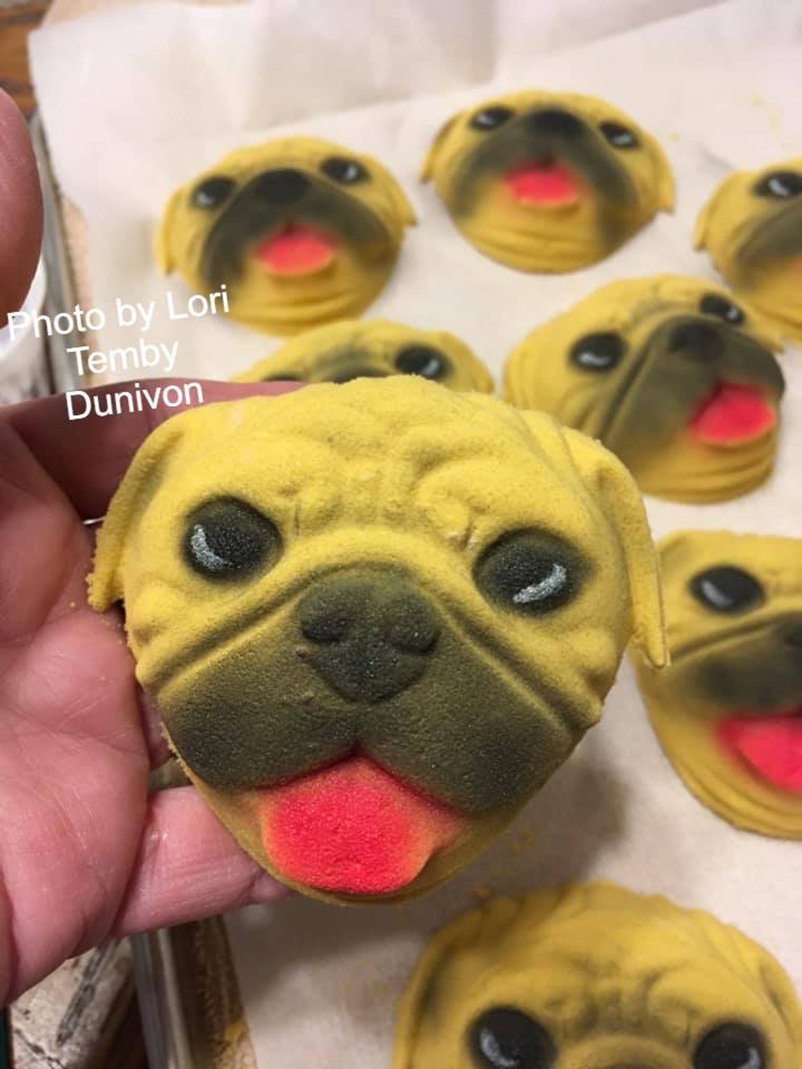 Pug Plastic Mold, Dog Mold, Bath Bomb Mold, Soap Mold, Pug Head Mold ...