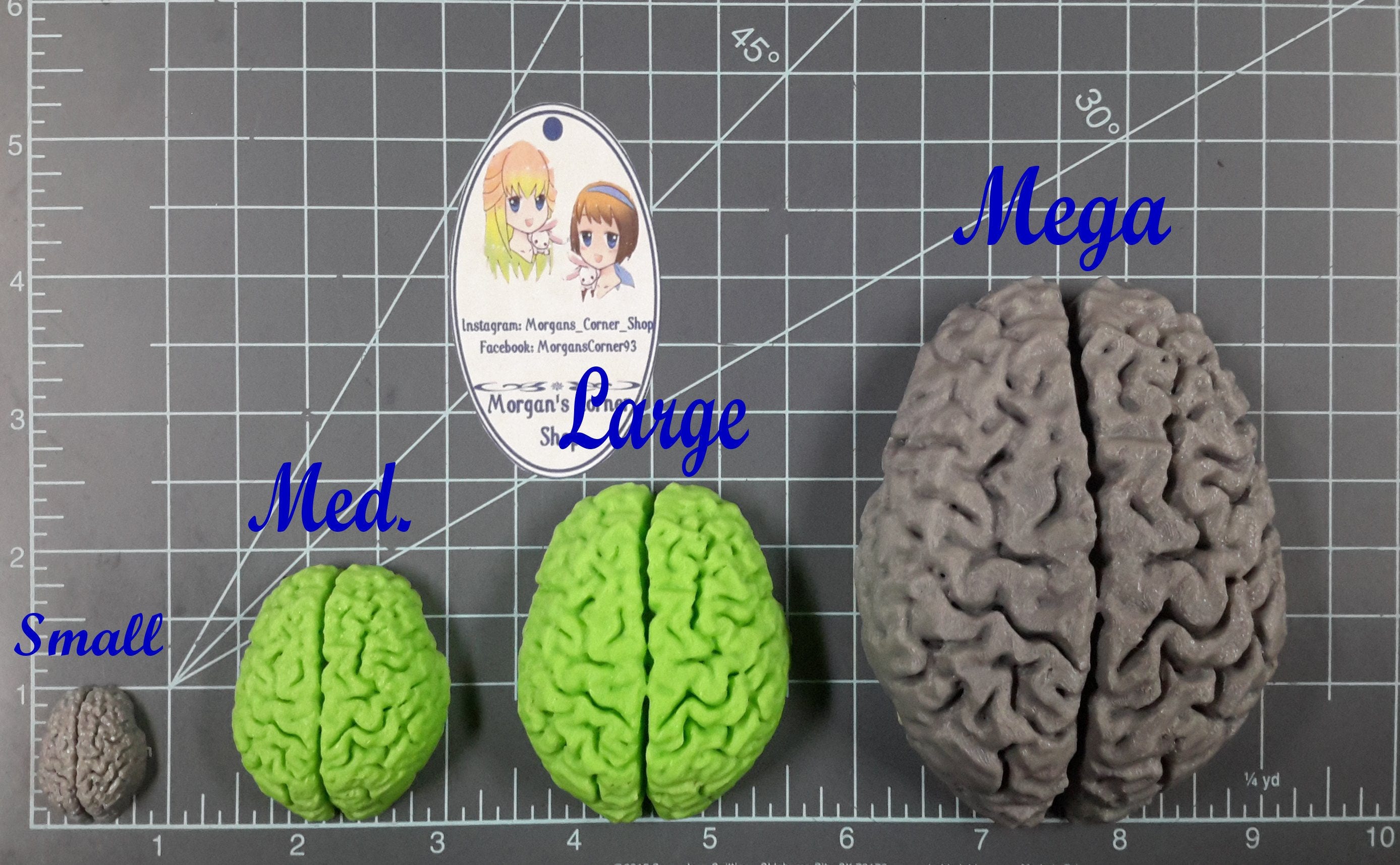 Human Brain Plastic Mold or silicone mold Resin Mold brain | Etsy