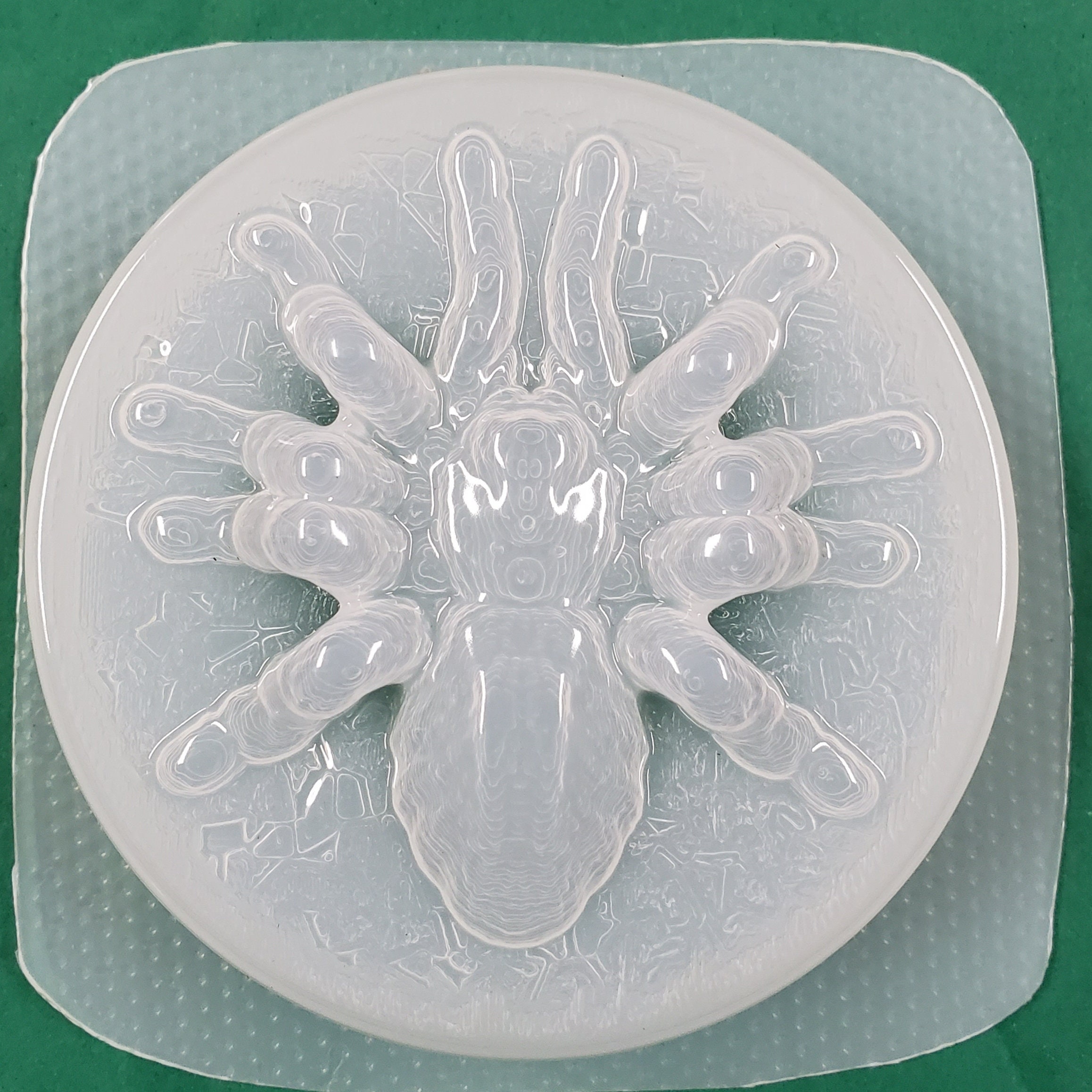 Tarantula Spider Plastic Mold or Silicone mold bath bomb | Etsy