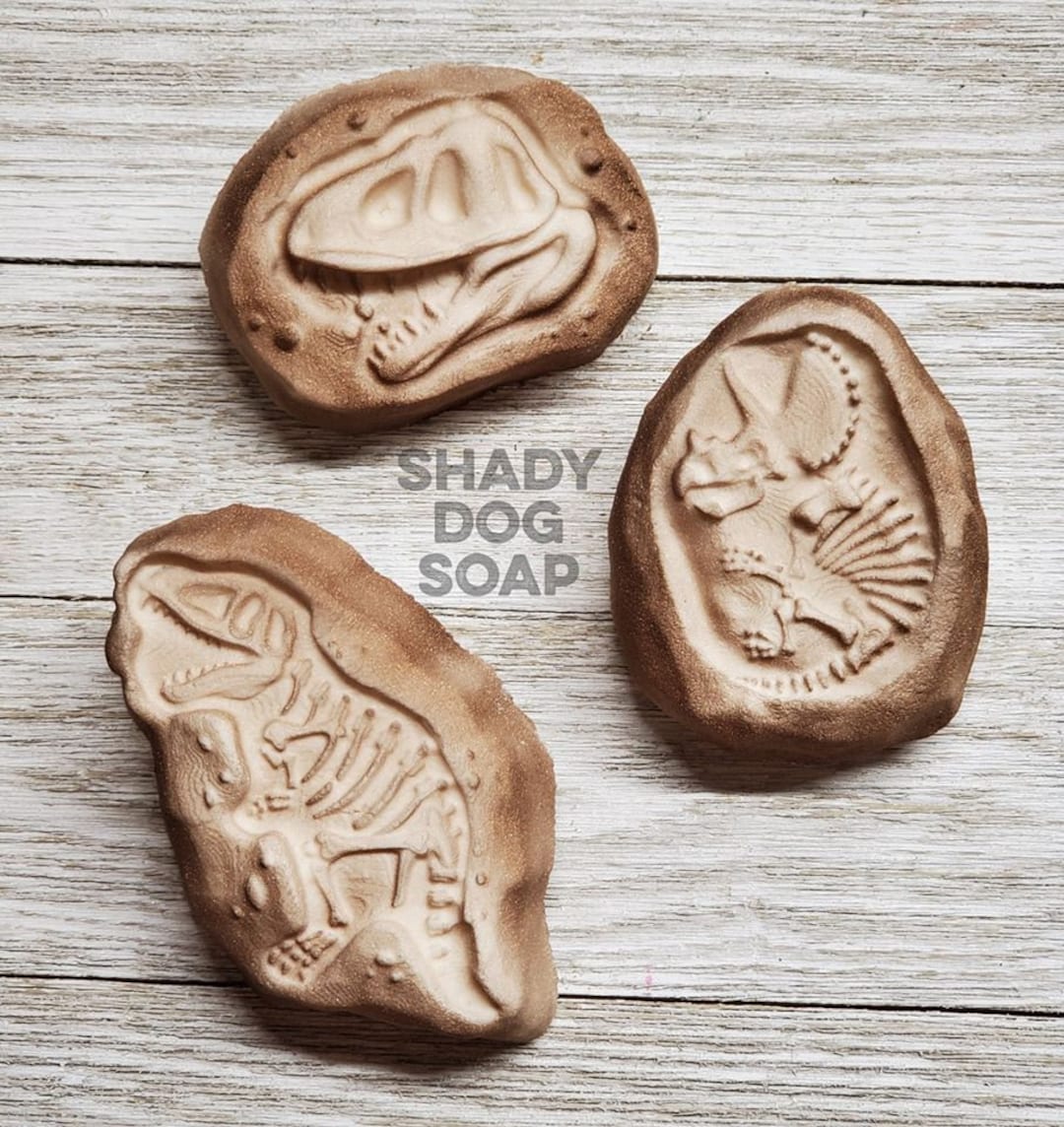 Dino Fossils Plastic Mold or Silicone Mold, Bath Bomb Mold, Soap Mold ...