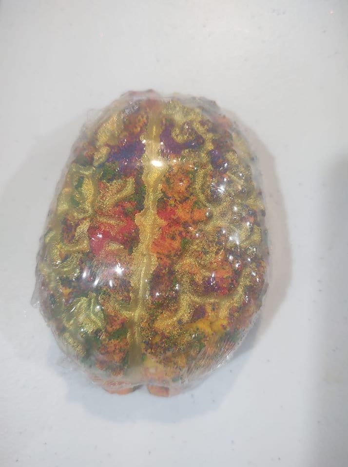Human Brain Plastic Mold or Silicone Mold Resin Mold Brain - Etsy Singapore