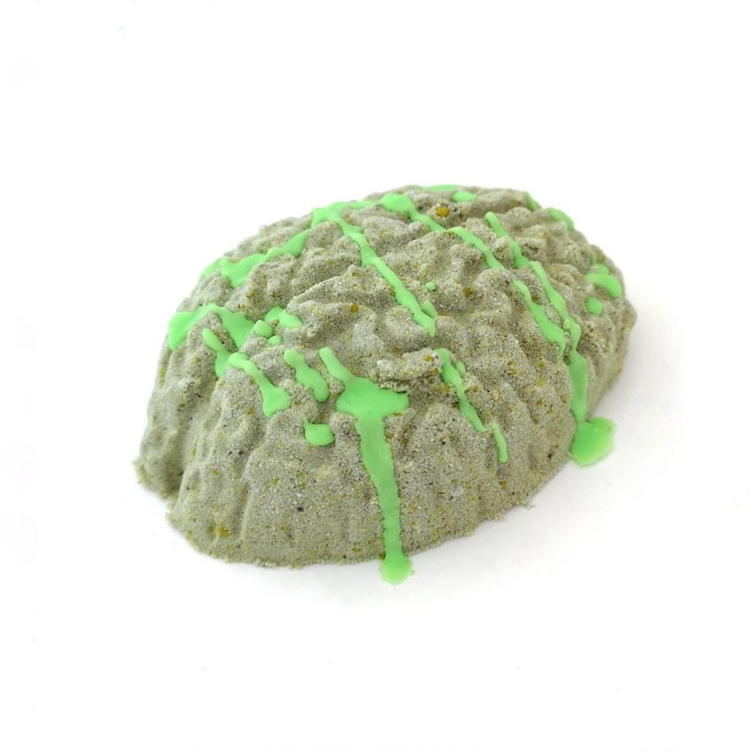Human Brain Plastic Mold or Silicone Mold, Resin Mold, Brain Mold, Clay ...