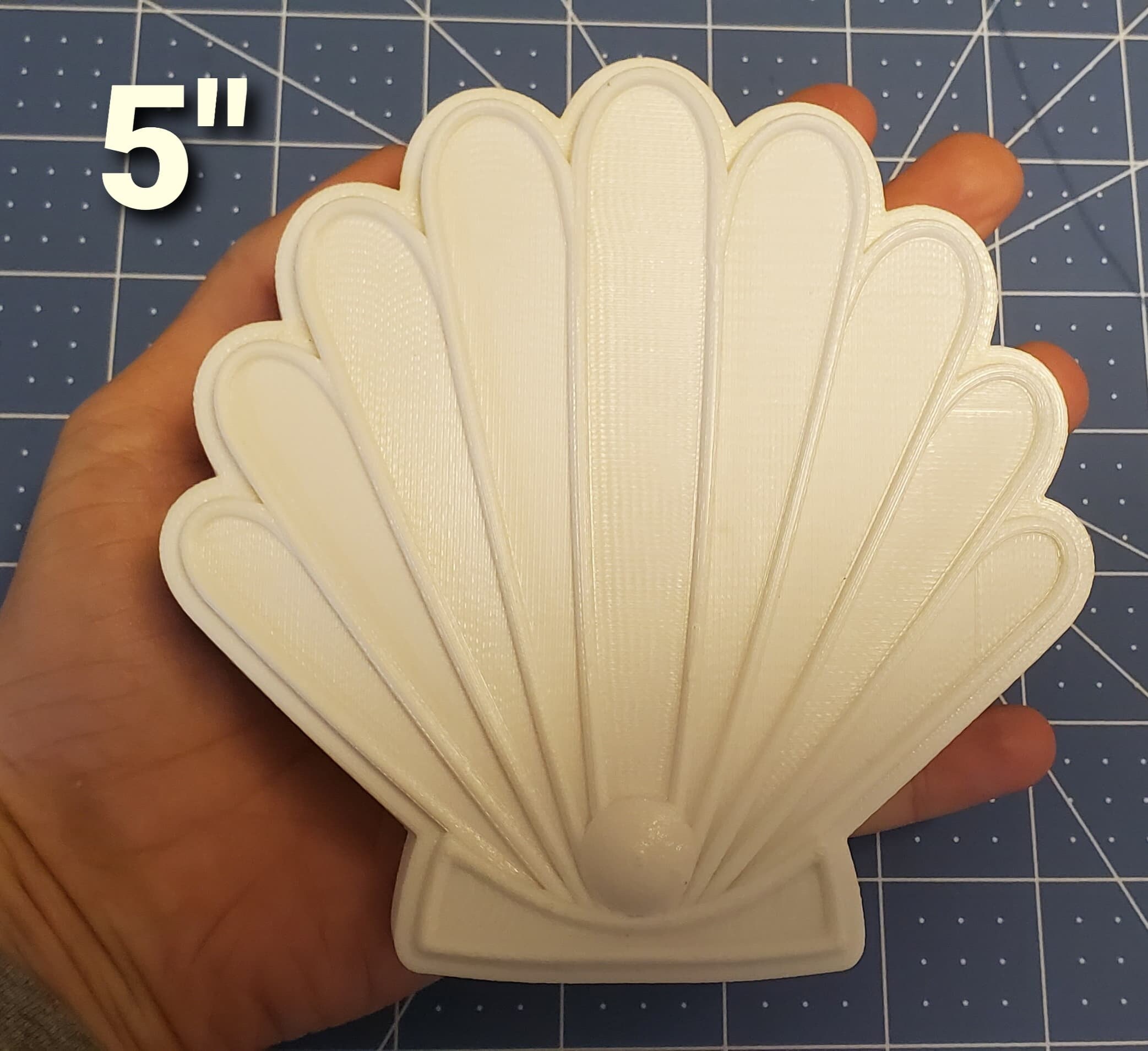 Seashell Plastic or Silicone Mold Sea Shell Mold Bath Bomb - Etsy Canada