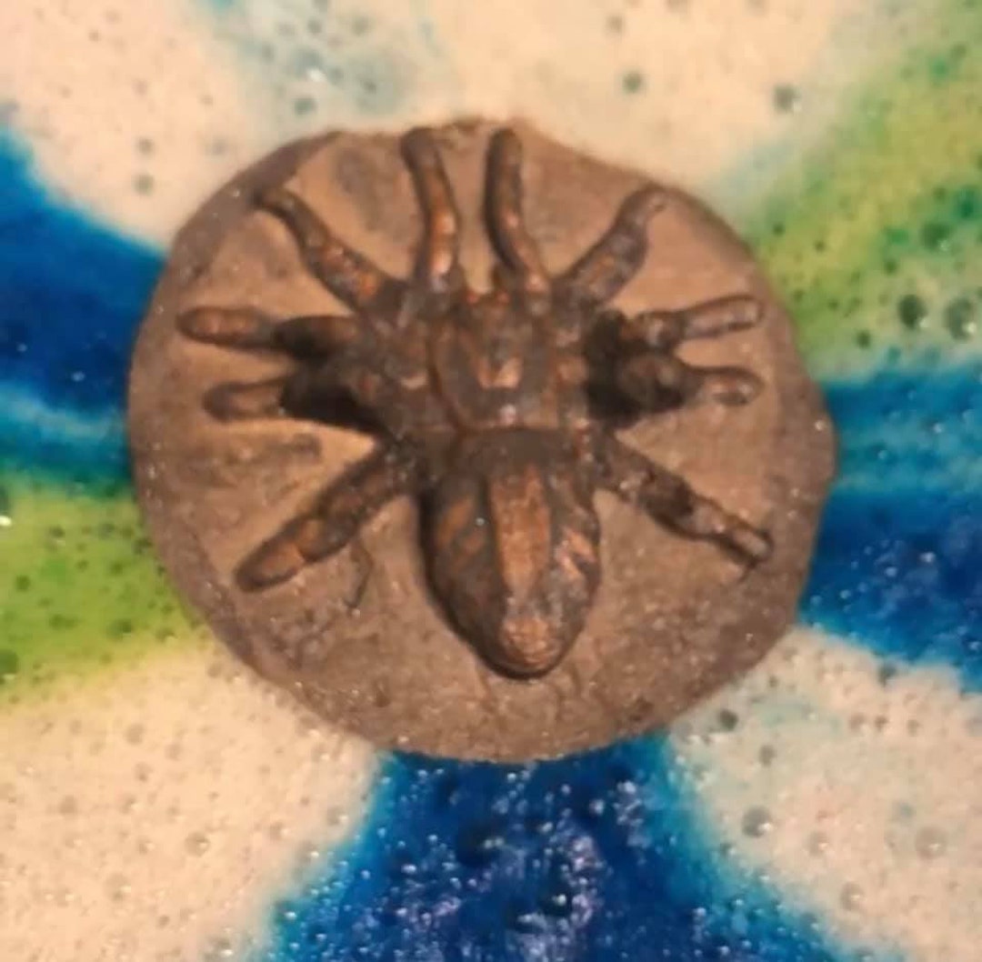 Tarantula Spider Plastic Mold or Silicone Mold, Bath Bomb Mold, Soap ...