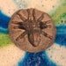 Tarantula Spider Plastic Mold or Silicone Mold, Bath Bomb Mold, Soap ...