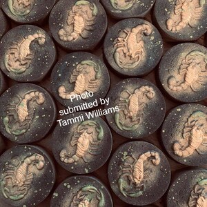 Scorpion on a Round Plastic Mold or Silicone Mold, Bath Bomb Mold, Soap ...