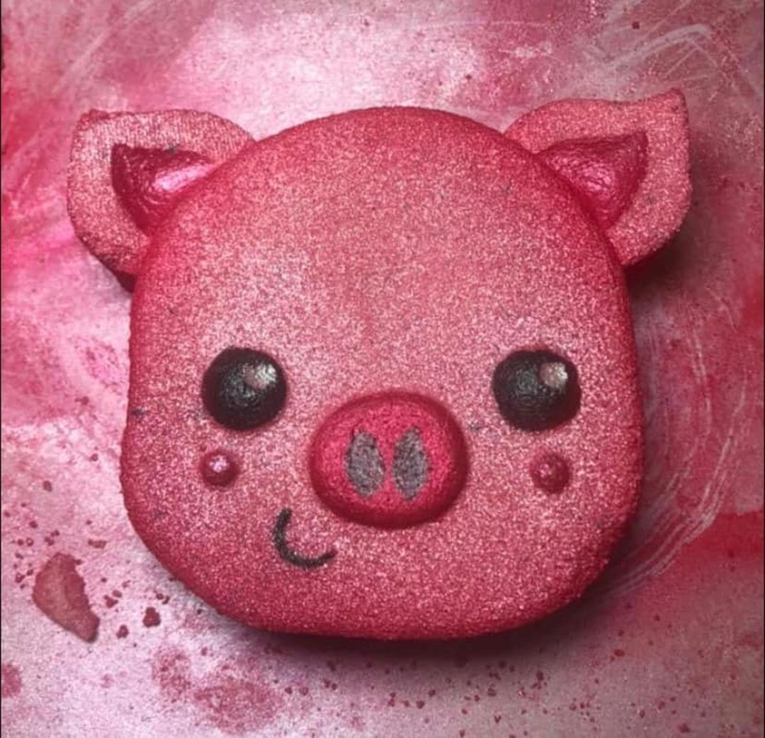 Simple Pig Face Plastic Mold or Silicone Mold, Bath Bomb Mold, Soap ...