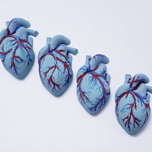 Human Heart Plastic Mold or Silicone Mold, Resin Mold, Heart Mold, Clay ...