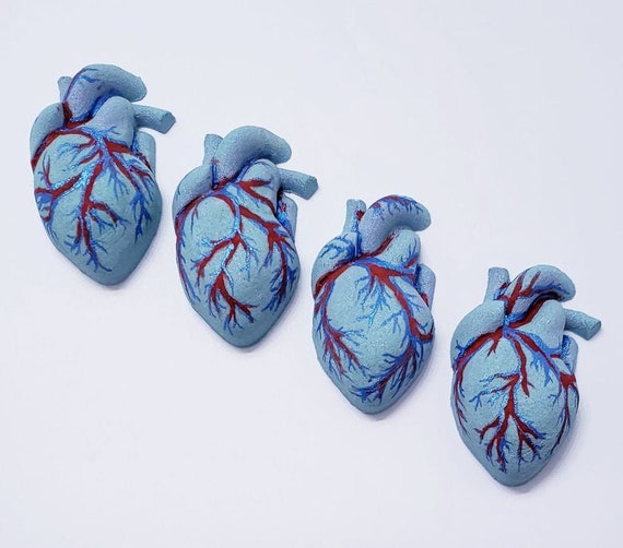 Human Heart Plastic Mold or Silicone Mold Resin Mold Heart - Etsy