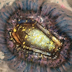 Inset Coffin Plastic Mold, Bath Bomb Mold, Soap Mold, Candle Mold ...