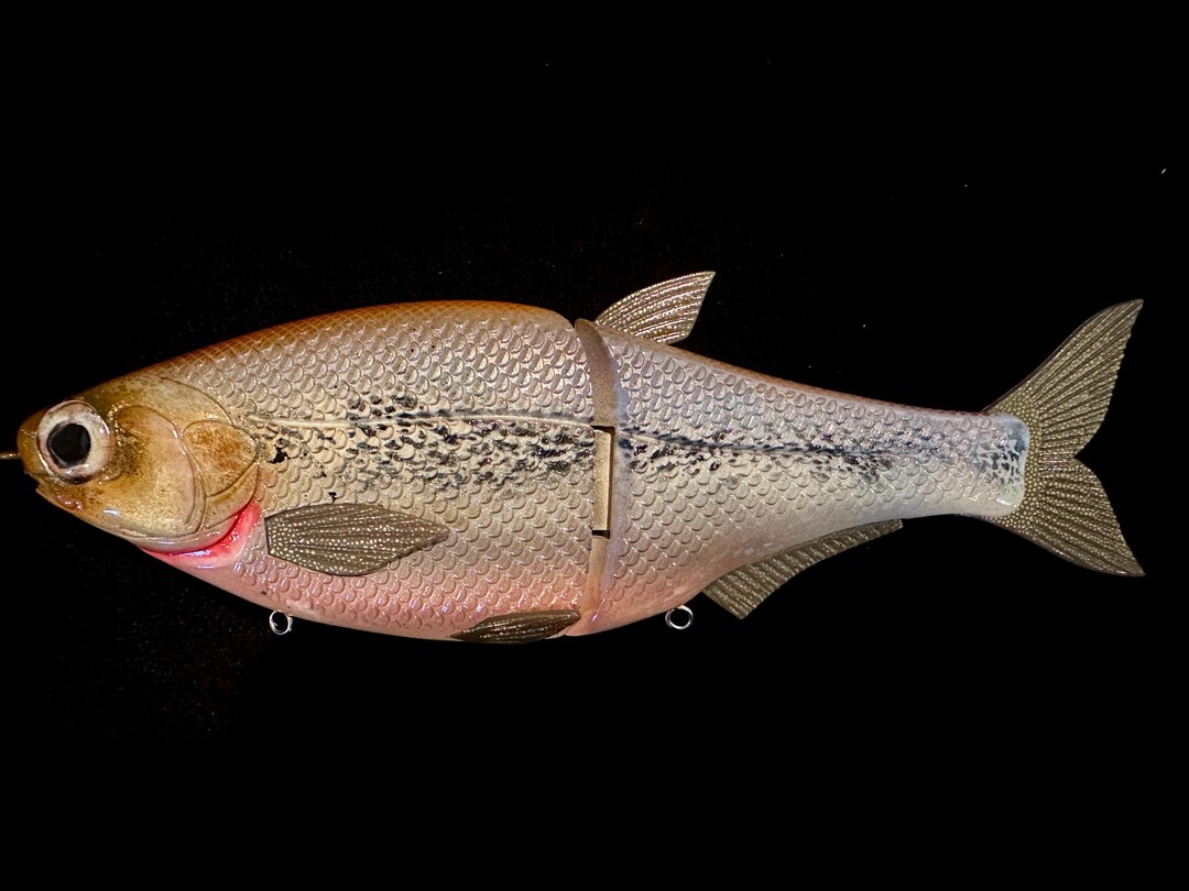 Custom Painted Lure ~hinkle Shad Alternative~ Tequila Sunrise, Bone ...