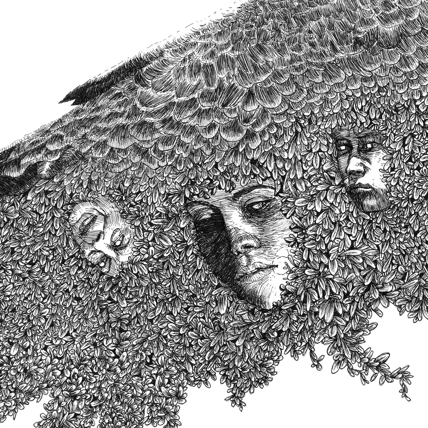 Carrion on Pen and Ink Drawing Giclee Art Print Surreal | Etsy