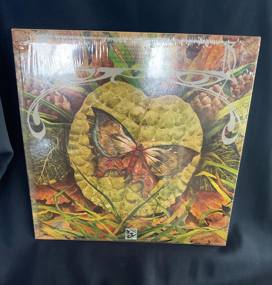 Spyro Gyra – Morning Dance Vinyl Record (1979, Infinity Records INF ...