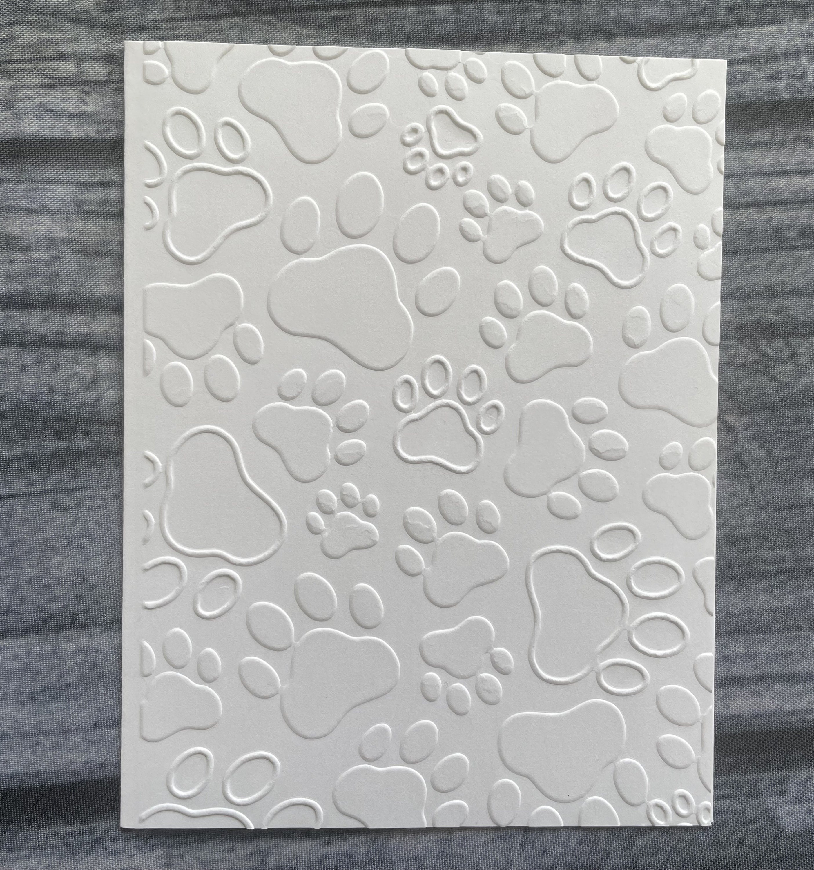Paw Print Cards, Dog Note Cards, Embossed Note Cards, Veterinary Thank ...
