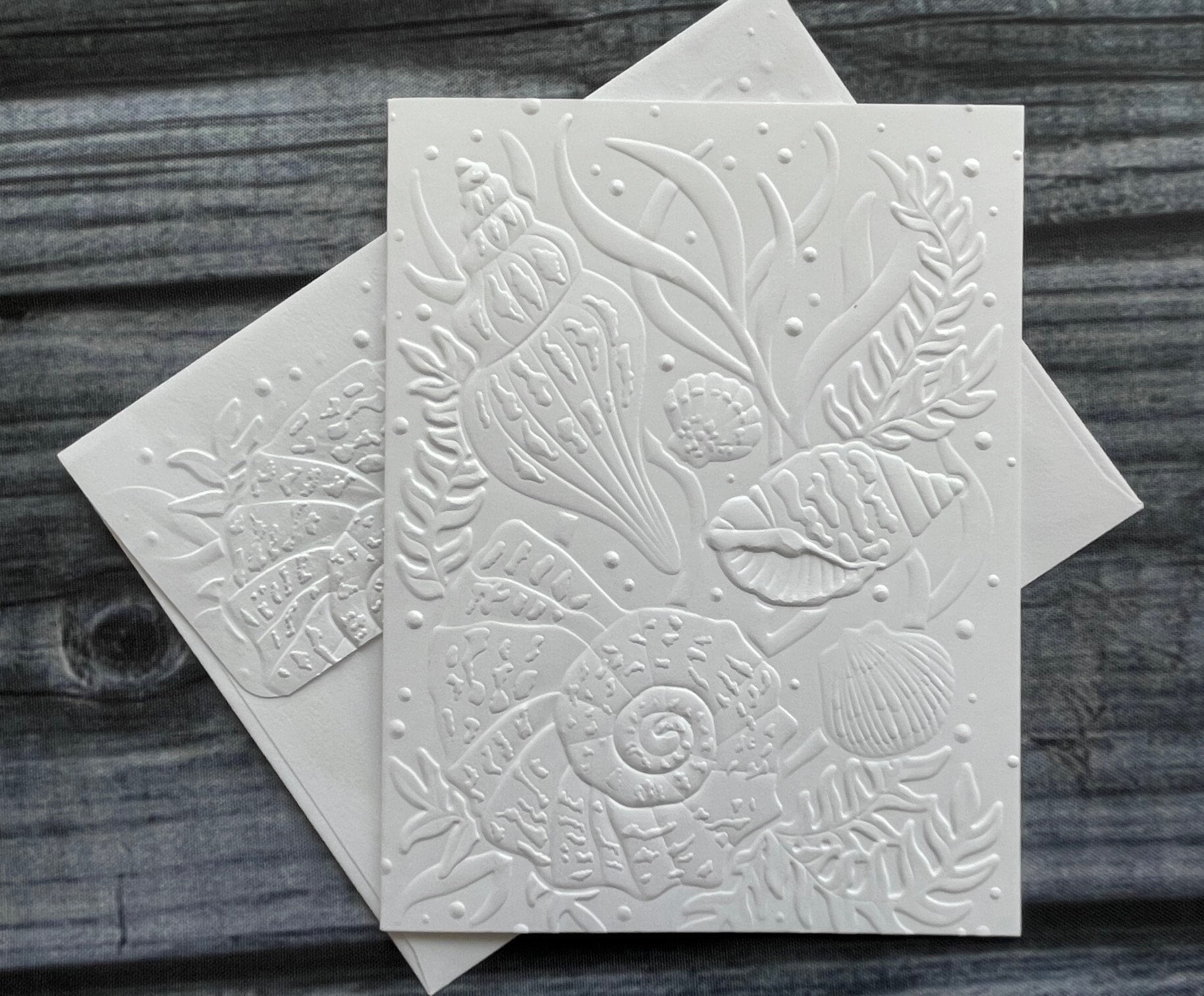 3D Seashells Card Sets, Clam Shell, Conch Shell, 3D Underwater Card ...