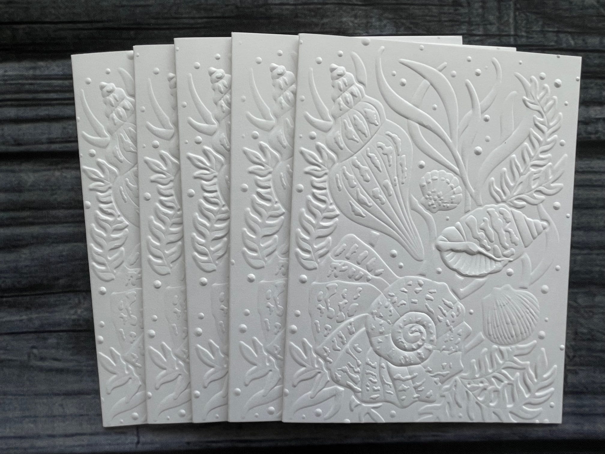 3D Seashells Card Sets, Clam Shell, Conch Shell, 3D Underwater Card ...