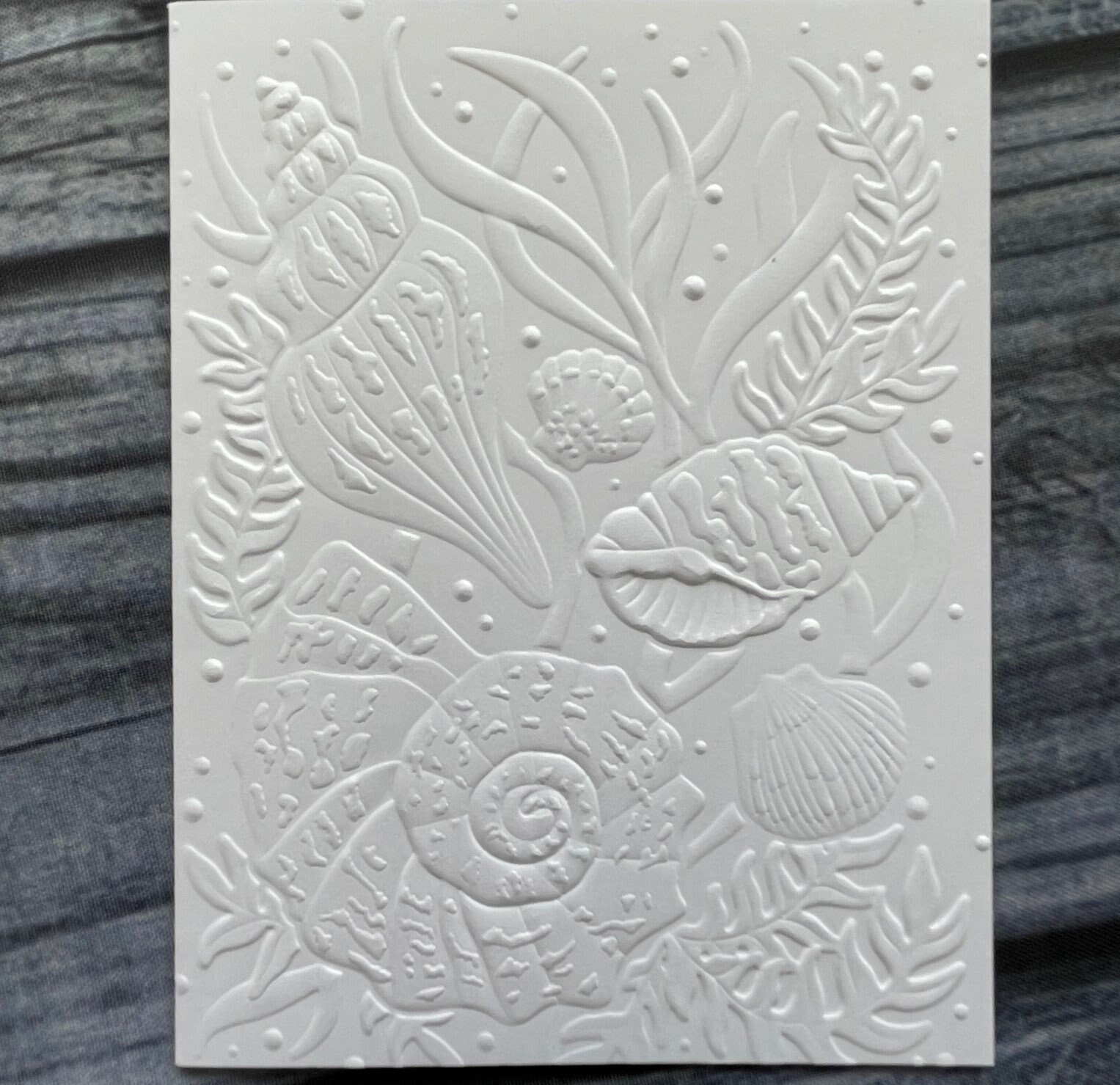 3D Seashells Card Sets, Clam Shell, Conch Shell, 3D Underwater Card ...