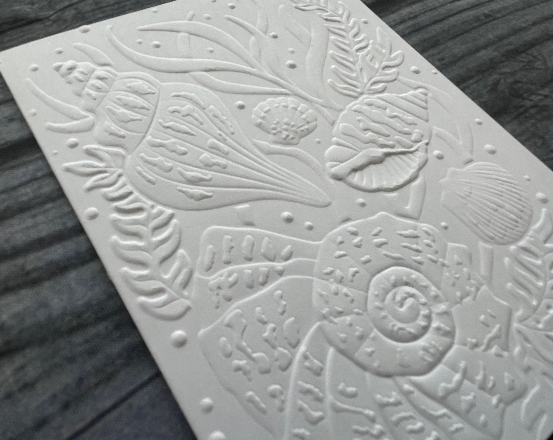 3D Seashells Card Sets, Clam Shell, Conch Shell, 3D Underwater Card ...