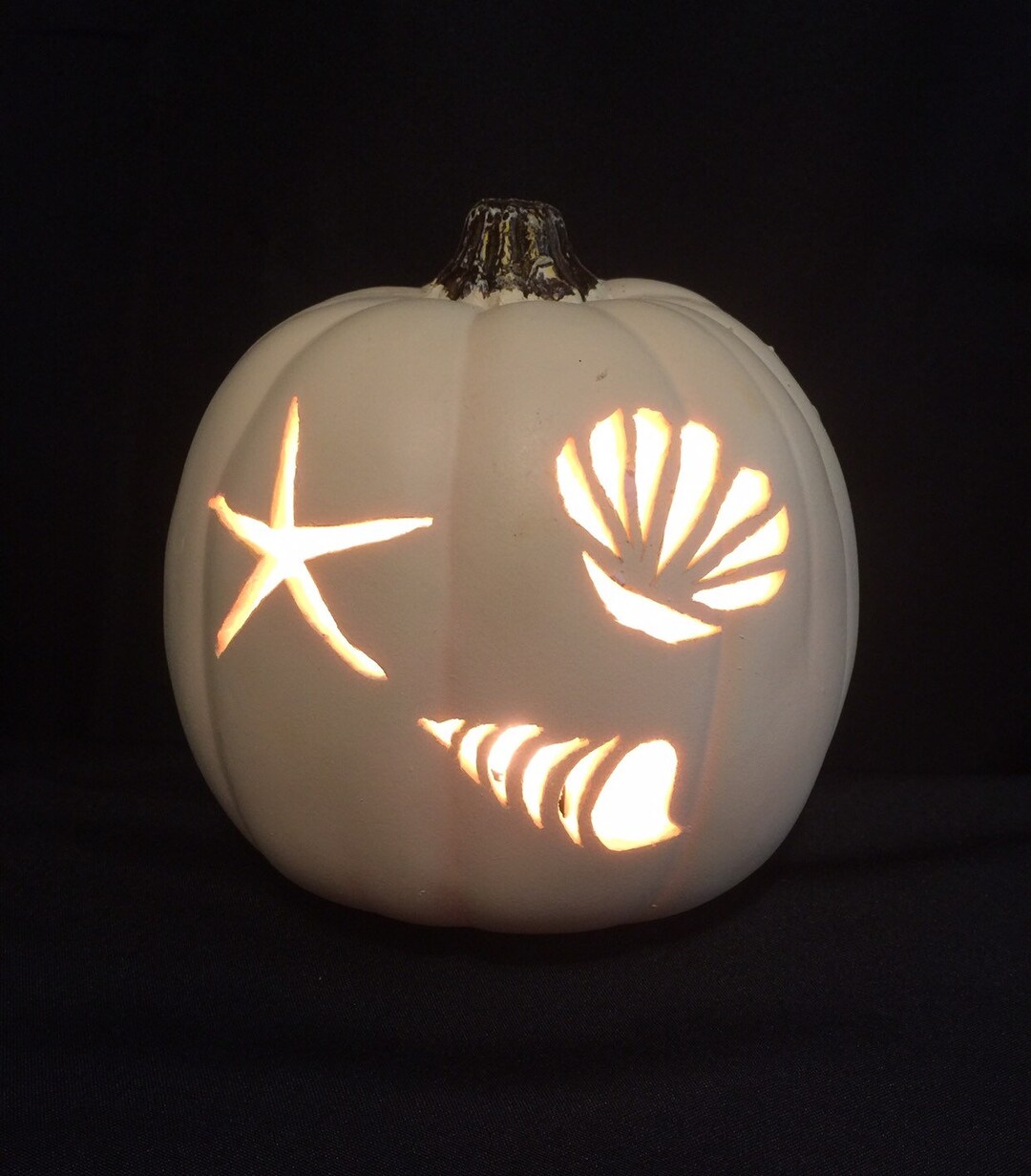 Starfish or Sea Shells on A6.5" Soft White or Orange Foam Pumpkin - Etsy
