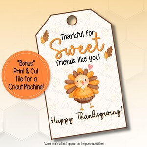 Printable Friendsgiving Gift Tag | Thanksgiving Gift Tag | Thankful for ...