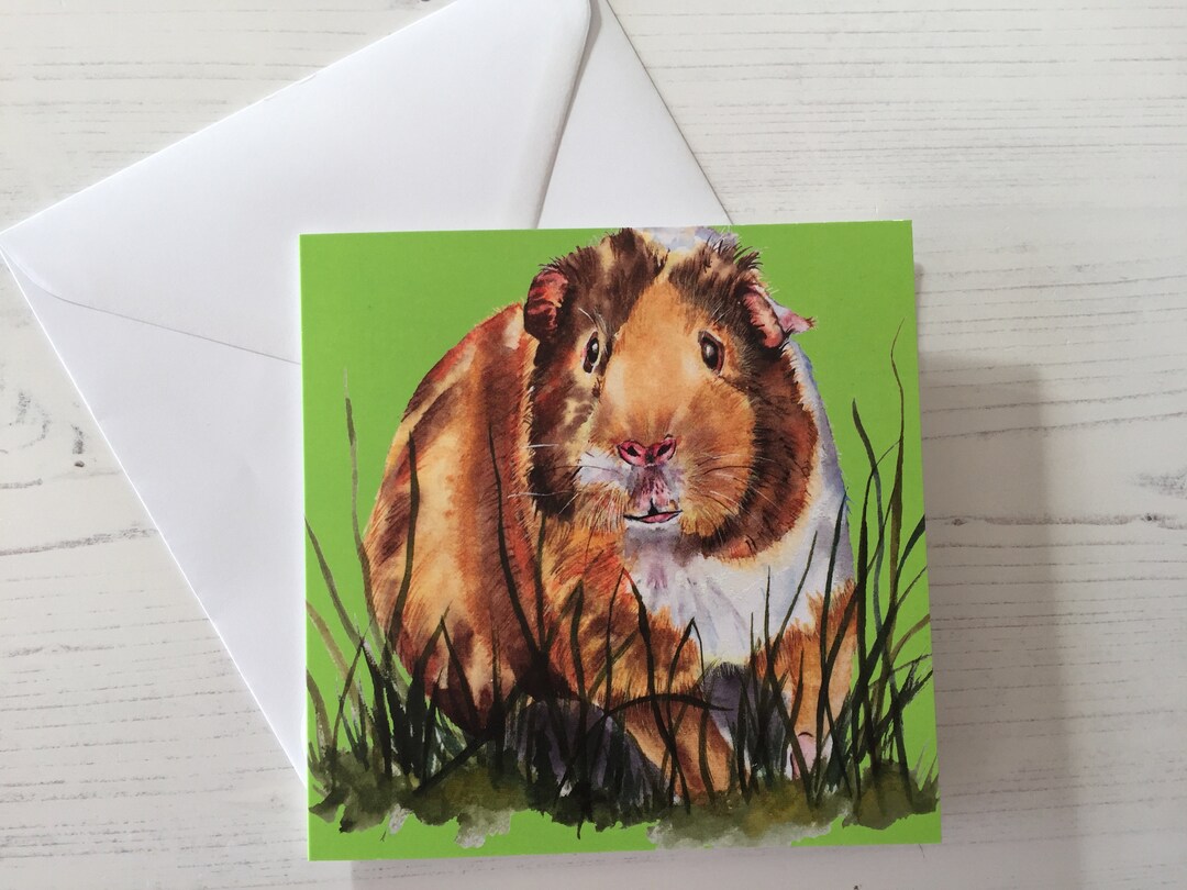 Guinea Pig Greetings Card 183 Animal Card Watercolour Card - Etsy