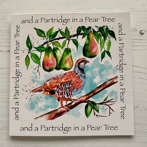Partridge Pear Tree - Etsy