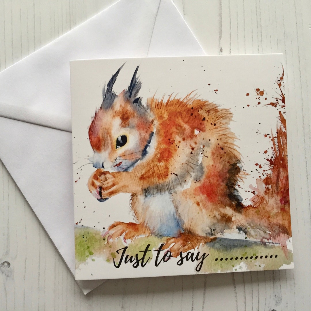 Red Squirrel Note Cards 3 Cards With White Envelopes wildlife Notecards ...