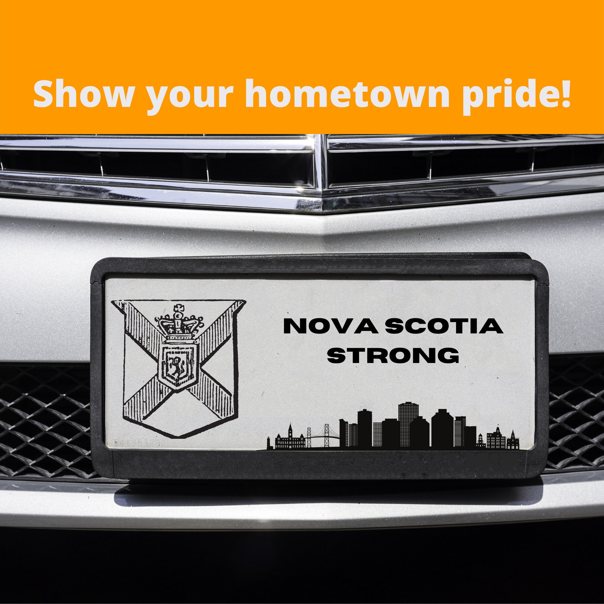 Fully Custom Novelty License Plate Personalized License - Etsy Canada