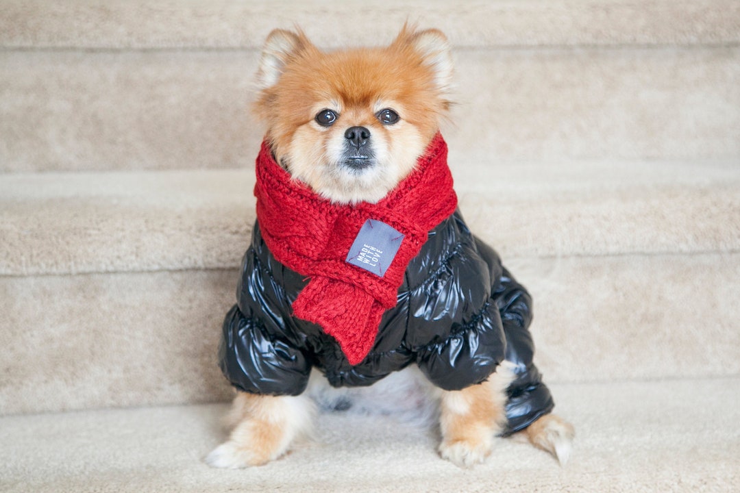 Winter Dog Scarf - Etsy