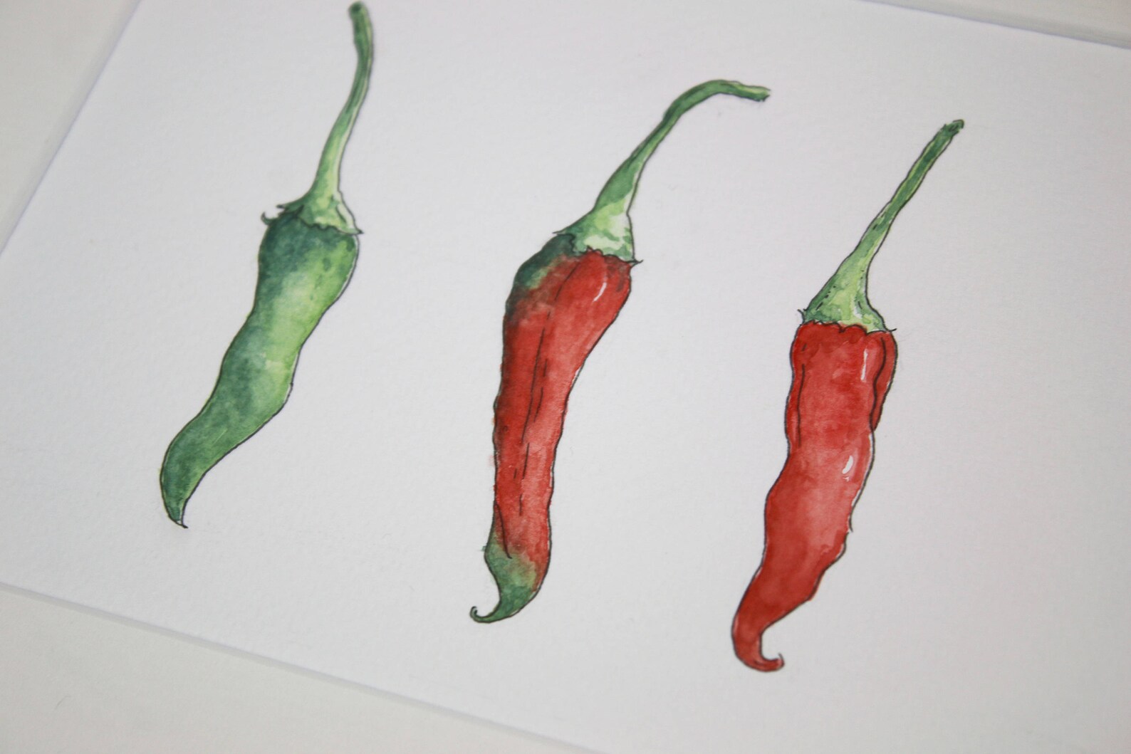 Original watercolour Chilli Peppers Kitchen wall Art 8 X | Etsy