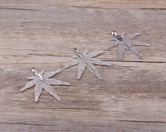 Real maple leaf | Etsy