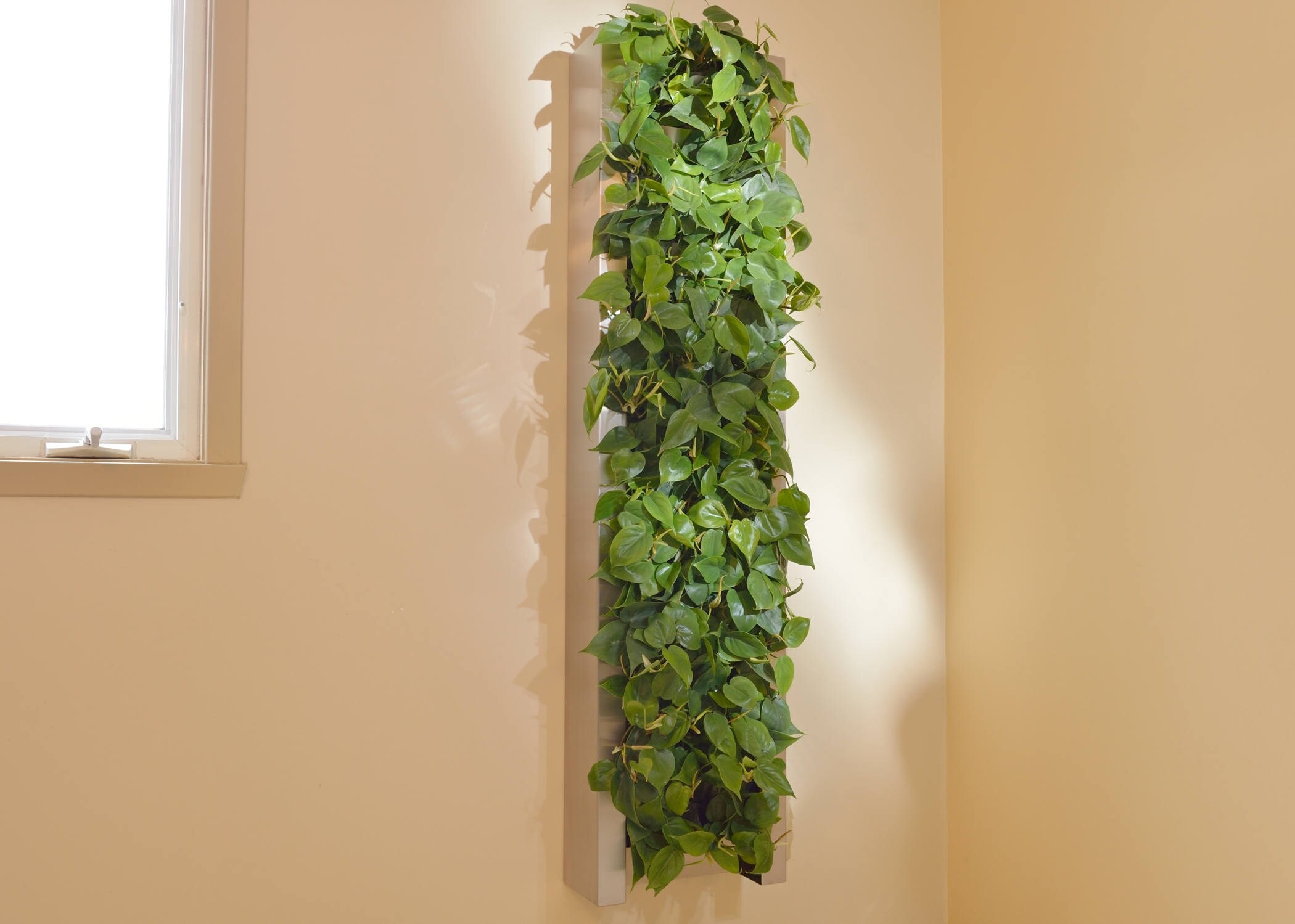 14' X 58'' Stainless Steel Living Wall - Etsy