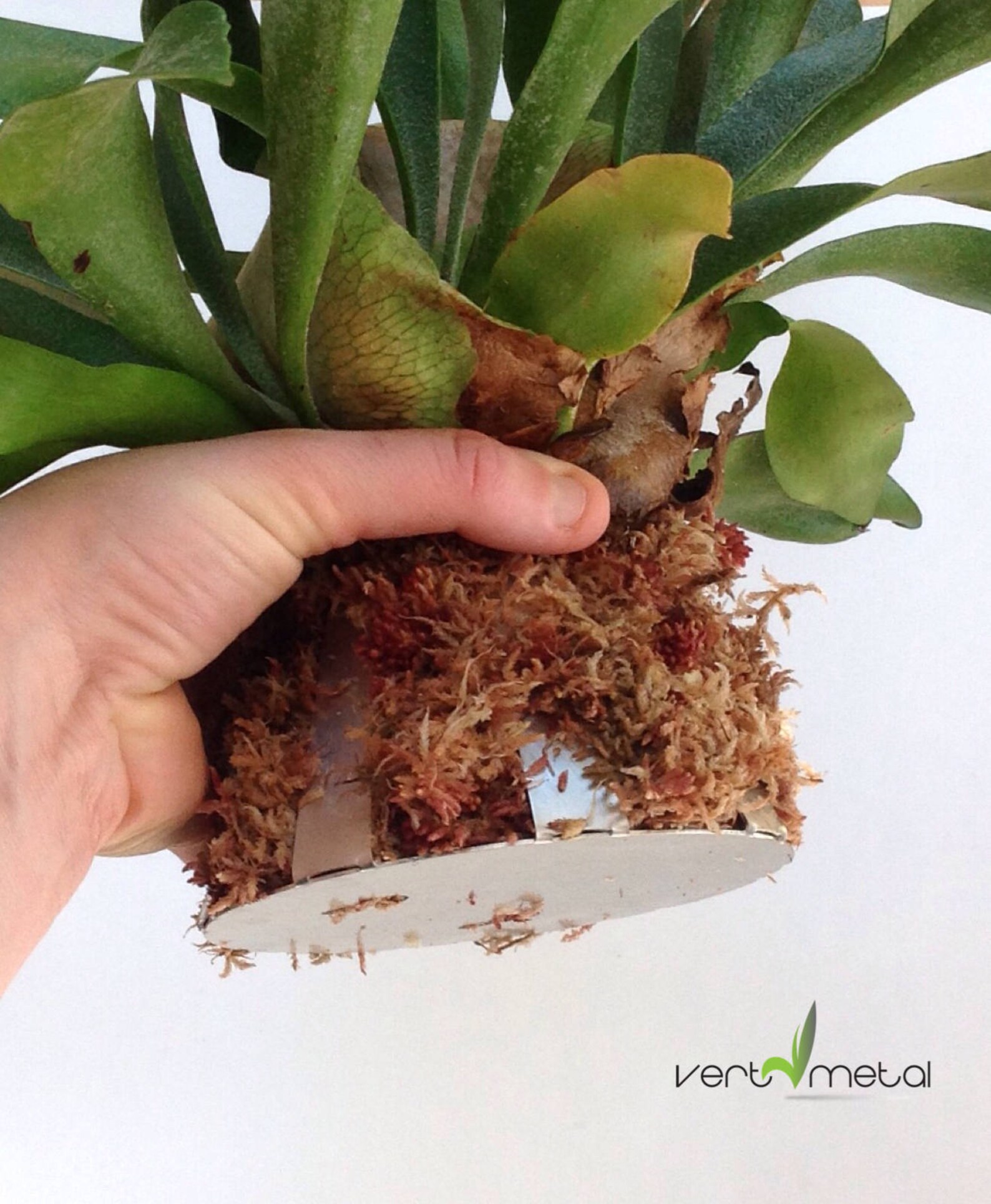 DIY Plant mouting Vertical garden kit | Etsy