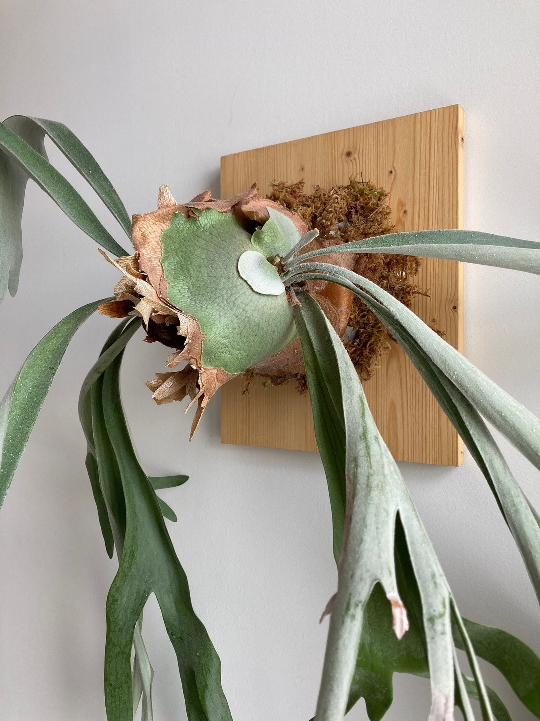 Bigger DIY Mounting Tool Bracket in Stainless Steel - Etsy