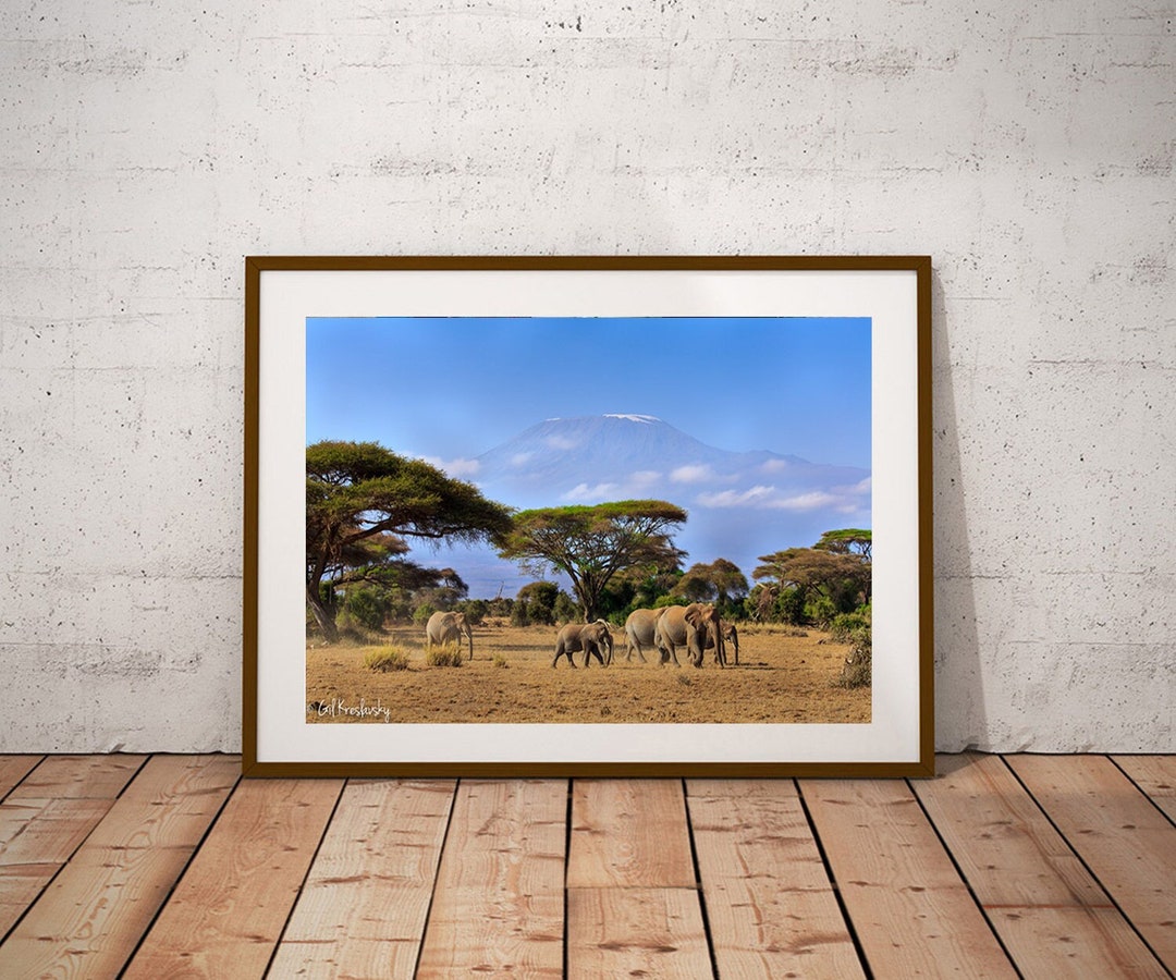 African Elephant Family Print: Kenya Wildlife Photography - Etsy