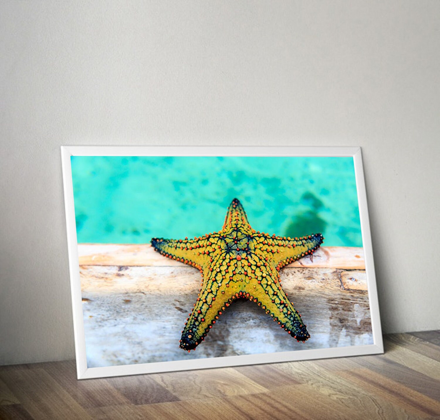 Colorful Starfish Art, Starfish Photography, Yellow Starfish, Starfish ...