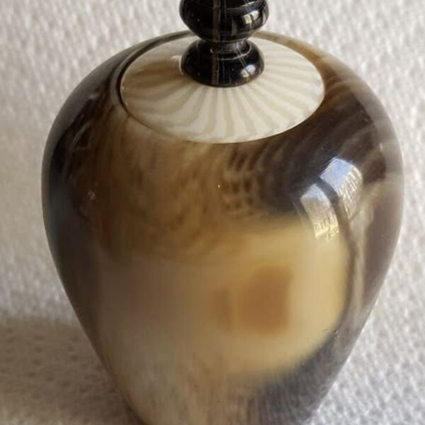 Bone Knobs - Etsy UK