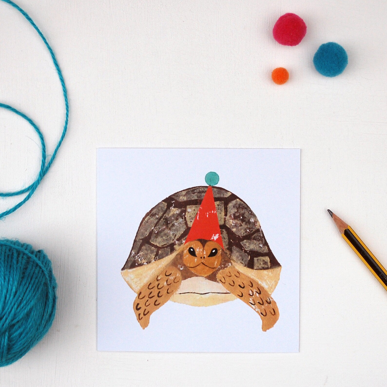 Tortoise Birthday Card - Etsy