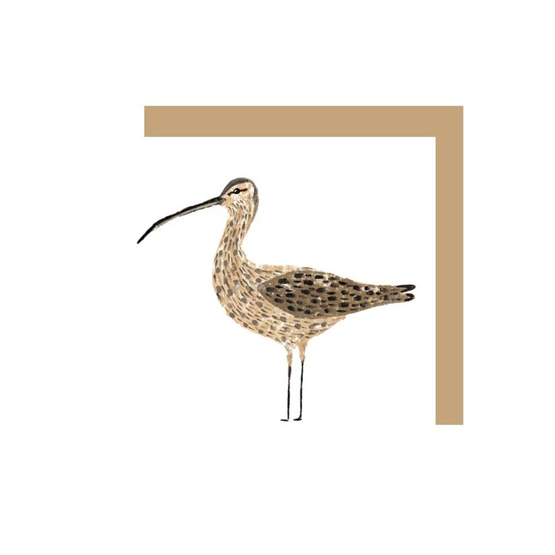Curlew Greetings Card - Etsy