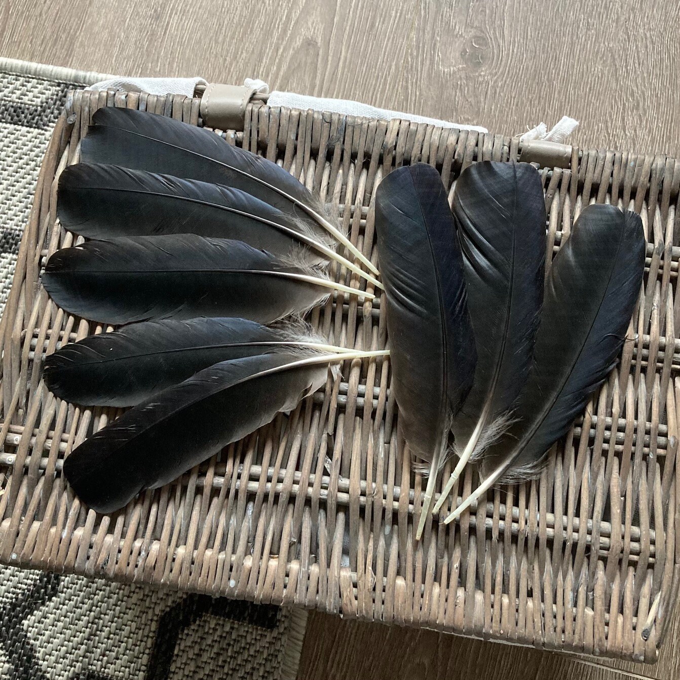 Black Crow Wing Feathers - Etsy