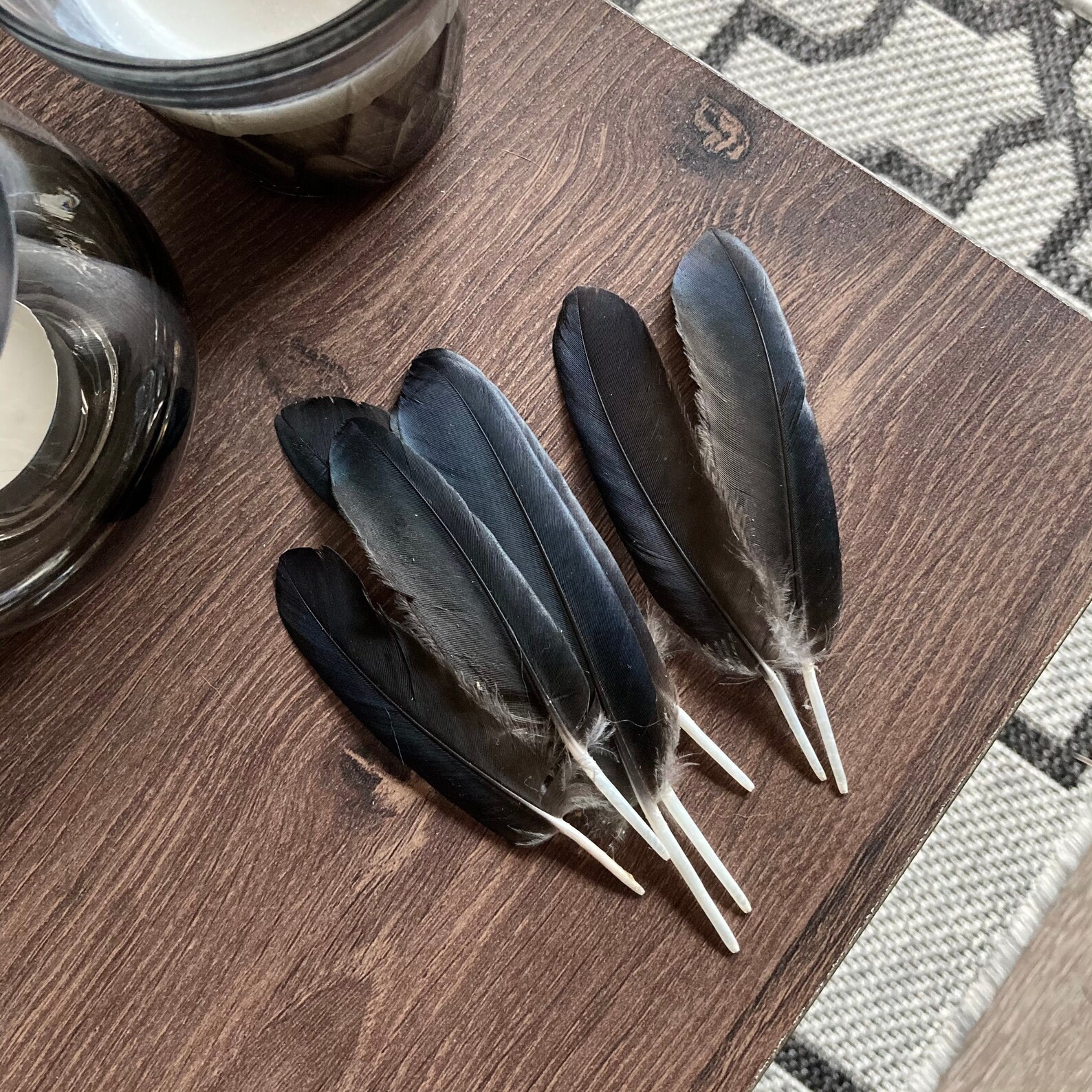 Small Crow Wing Feathers ethically Sourced - Etsy